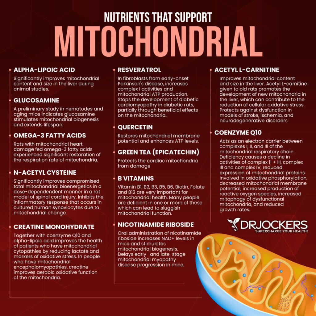 Mitochondrial Dysfunction and Chronic Disease - DrJockers.com