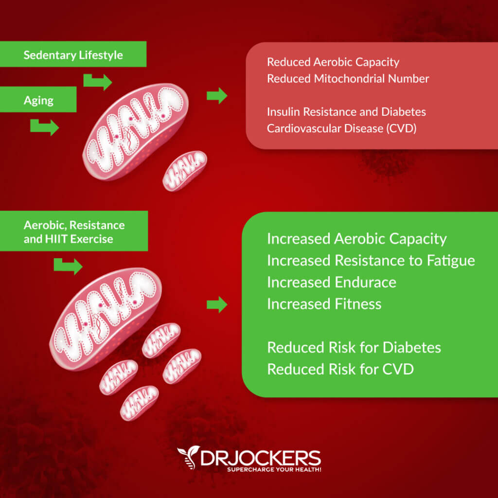 Mitochondrial Health: 5 Ways to Improve Cellular Energy