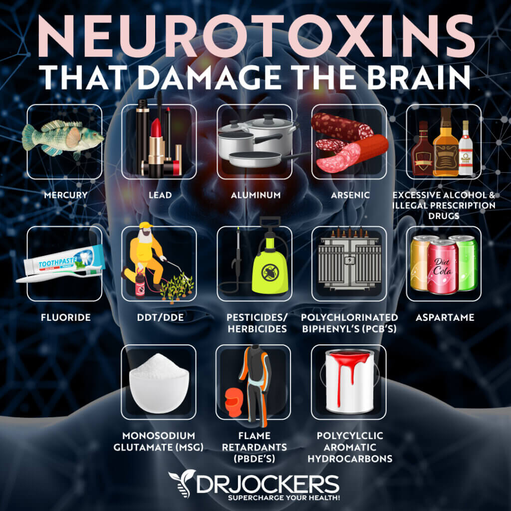 Leaky Brain Syndrome: Symptoms, Causes and Natural Solutions