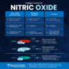 Nitric Oxide Benefits and How to Increase Levels - DrJockers.com