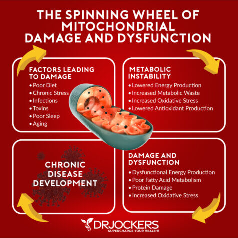 Top 12 Inflammatory Lab Markers and Optimal Ranges