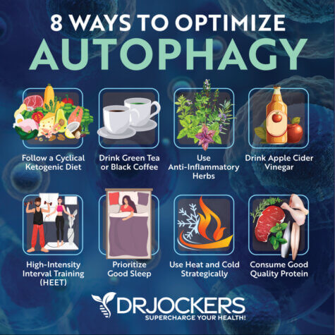 Autophagy: What is It and 8 Ways to Enhance It - DrJockers.com