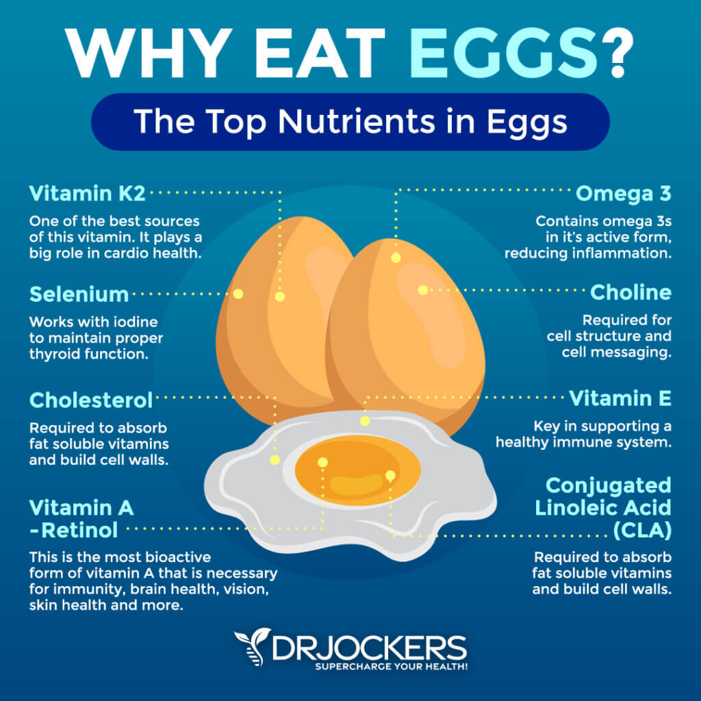 10 Key Health Benefits of Eggs in Your Diet - DrJockers.com