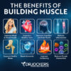 Building Muscle: Best Foods, Fitness and Nutrition Strategies