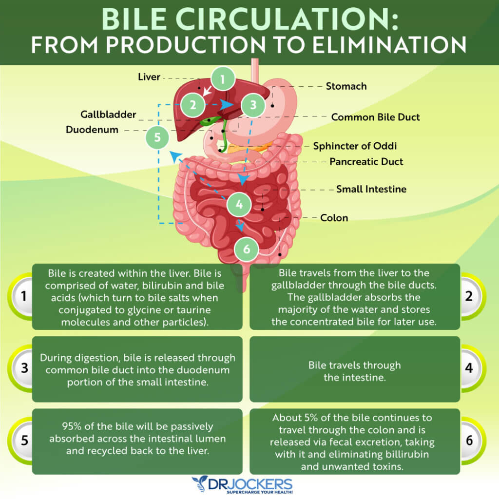 Bile Flow: Top 15 Herbs to Support Liver & Gallbladder