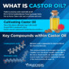 Castor Oil: Key Health Benefits and How to Use It - DrJockers.com