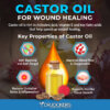 Castor Oil: Key Health Benefits and How to Use It - DrJockers.com