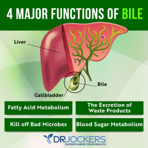 Bile: What is it? How to Improve Liver and Gallbladder Health