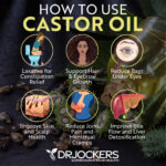 Castor Oil: Key Health Benefits and How to Use It - DrJockers.com