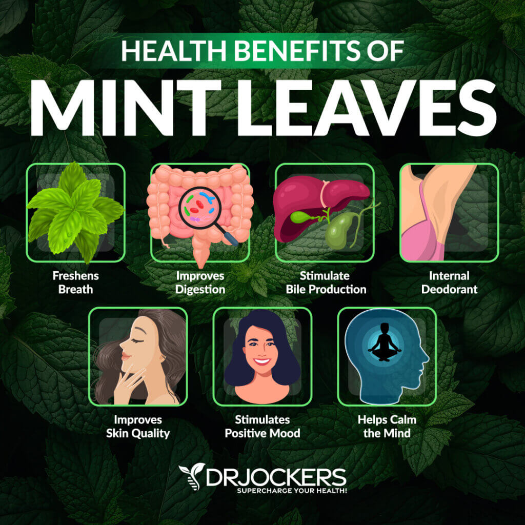 Bile Flow: Top 15 Herbs to Support Liver & Gallbladder