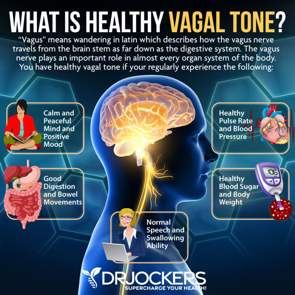 Gut Inflammation: Causes, Testing & Support Strategies
