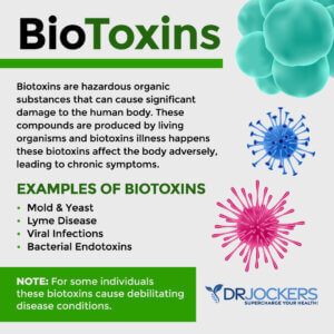 BioToxin Illness: Symptoms, Causes and Healing Protocol