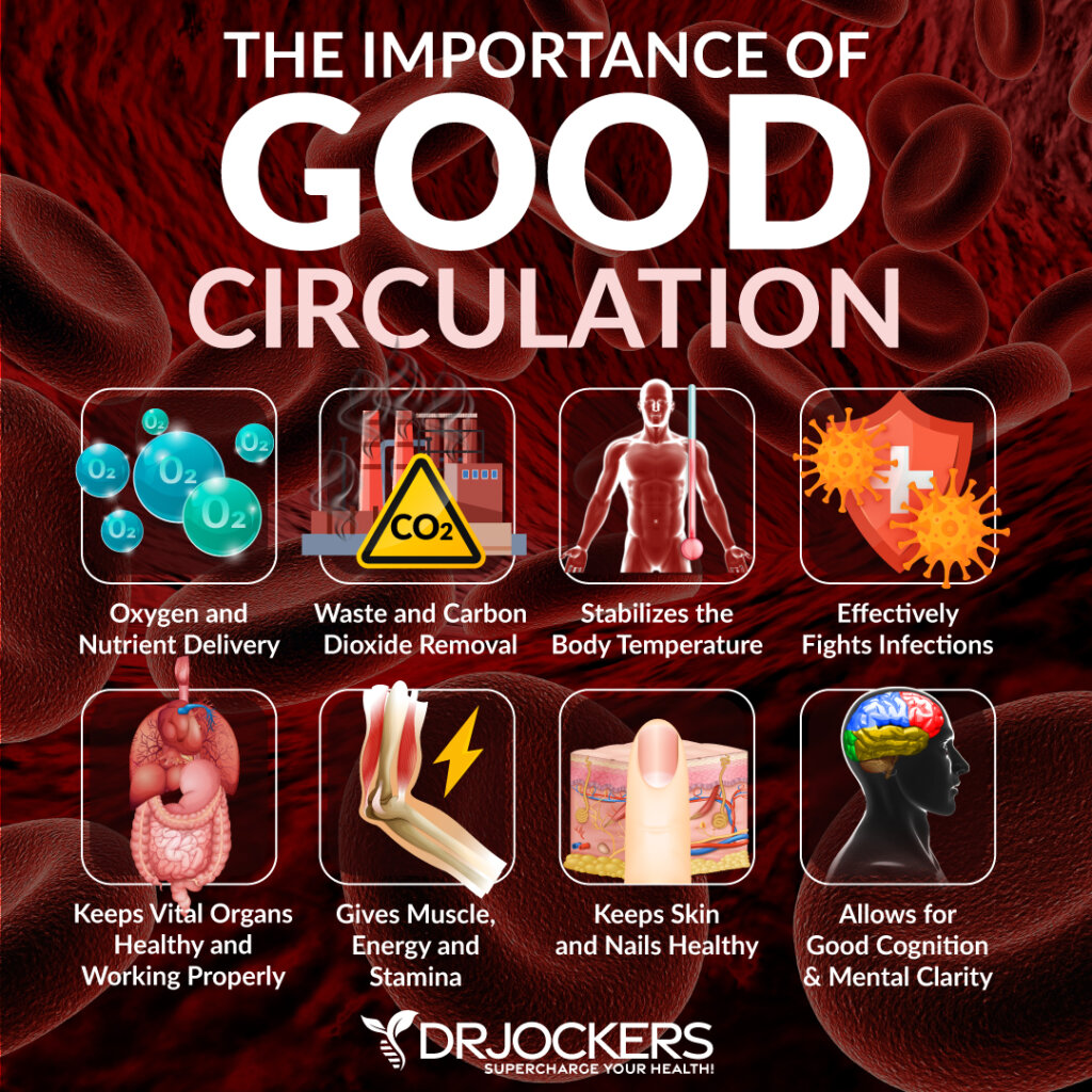 Bad Circulation: Symptoms, Root Causes and Support Strategies