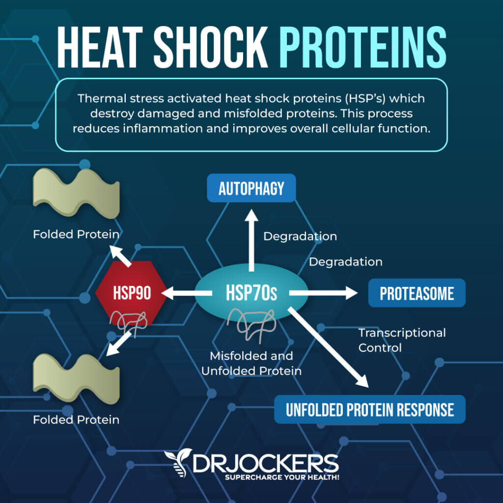 Infrared Sauna Therapy For Immune and Detox Support