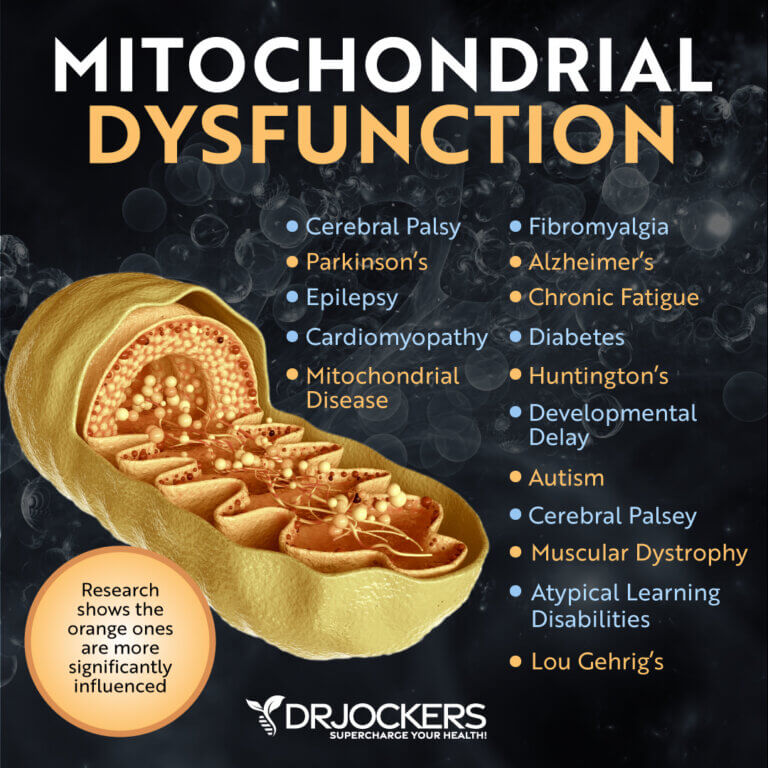 Mitochondrial Health: 5 Ways to Improve Cellular Energy
