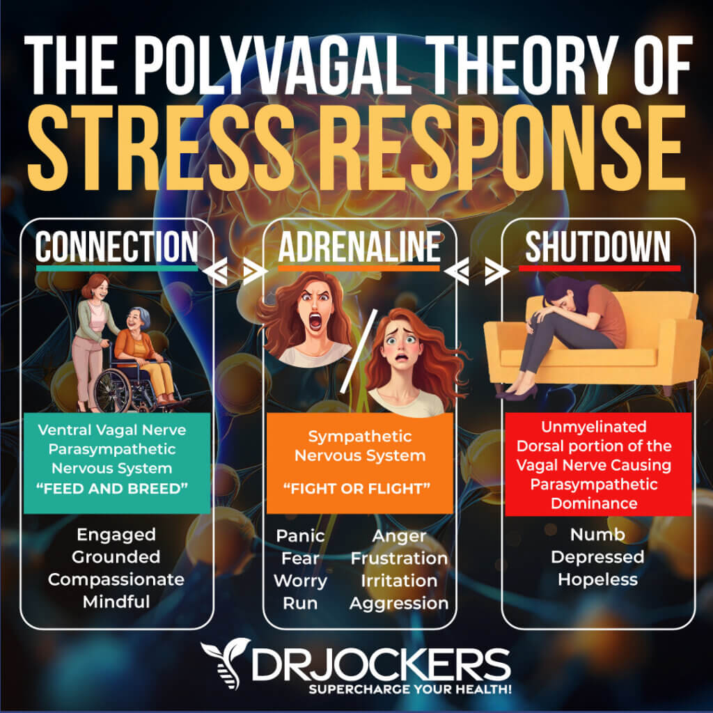 Improving Vagal Tone For Better Mental and Emotional Health