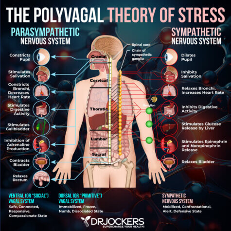 Improving Vagal Tone For Better Mental and Emotional Health