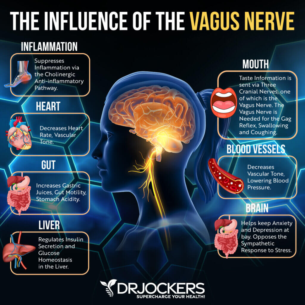 Improving Vagal Tone For Better Mental and Emotional Health