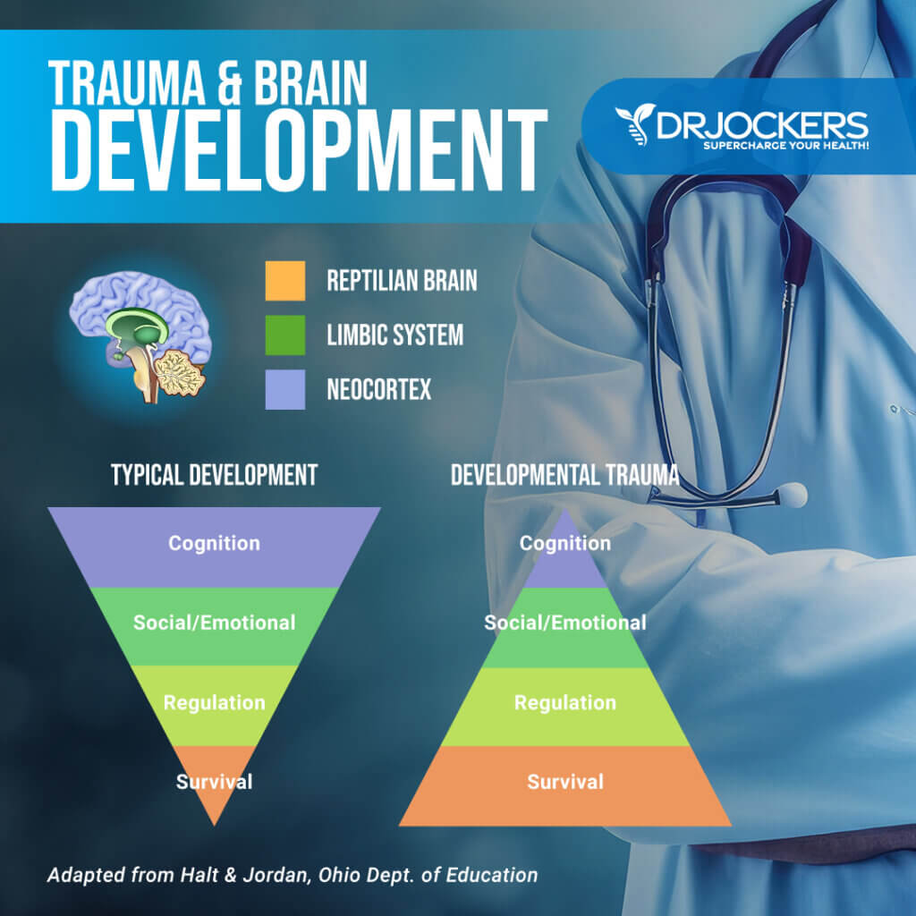 Improving Vagal Tone For Better Mental and Emotional Health