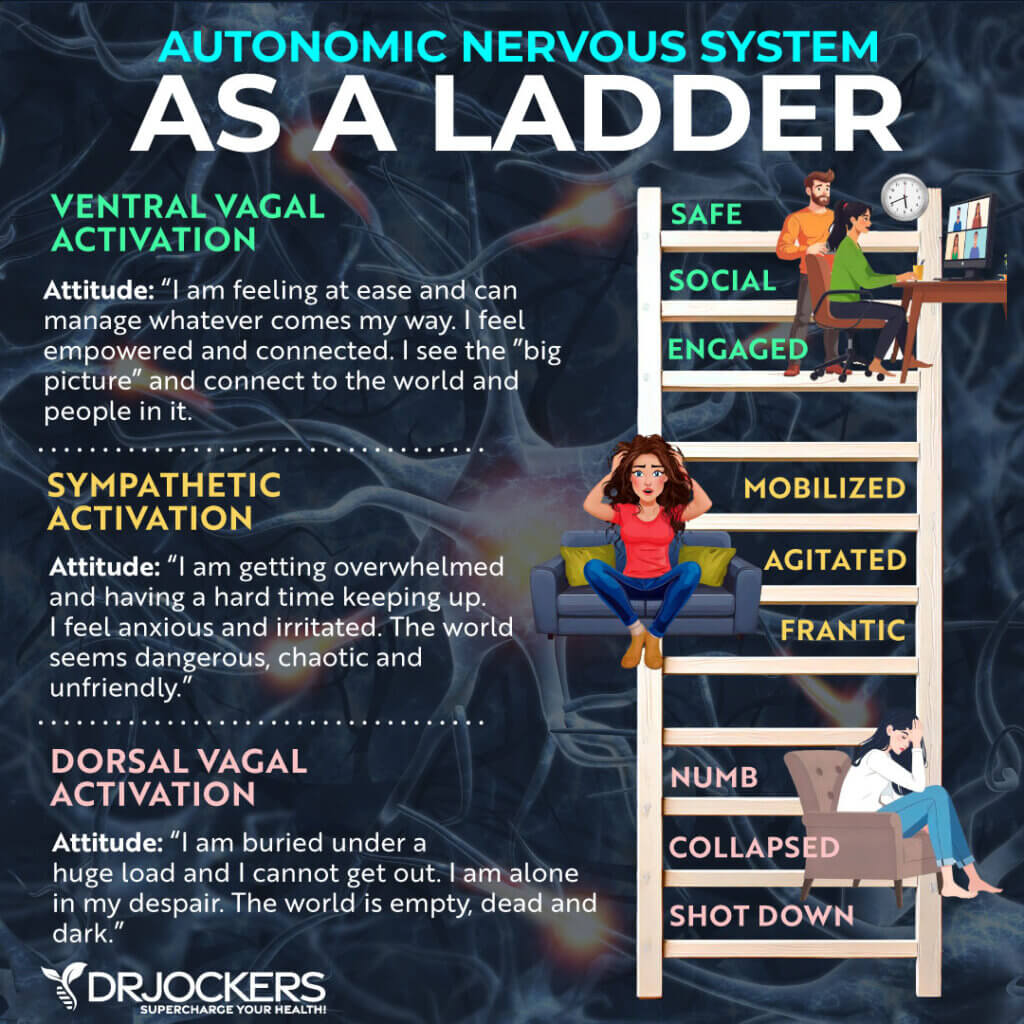Improving Vagal Tone For Better Mental and Emotional Health