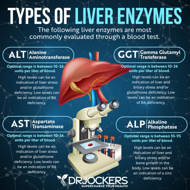 Testing Liver Function: Key Lab Markers and Functional Analysis