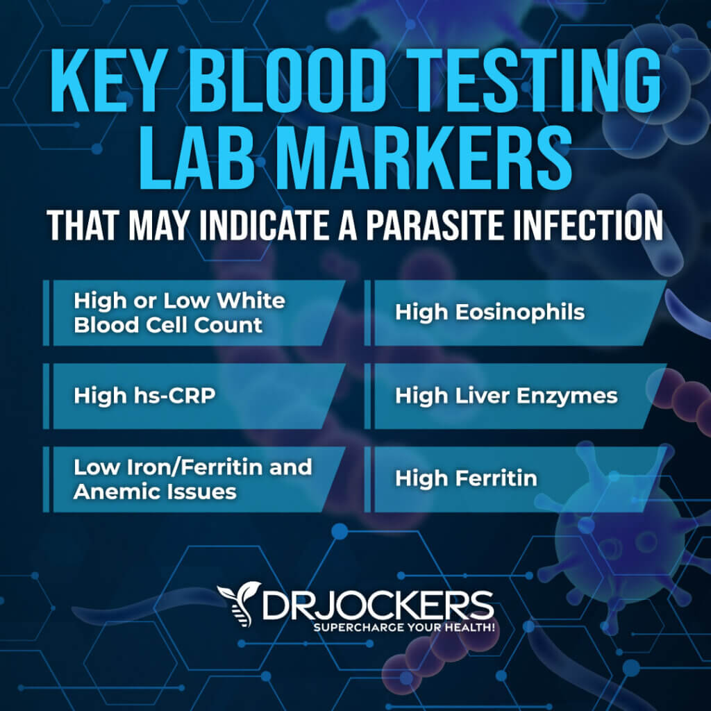 Parasite Infections: Functional Lab Analysis To Identify Parasites