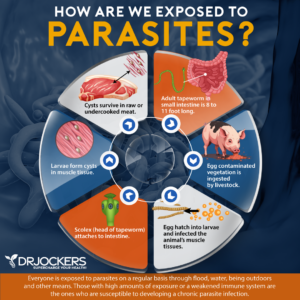 Parasite Infections: Functional Lab Analysis To Identify Parasites