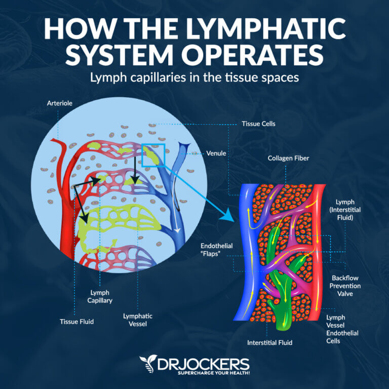 Lymphatic Cleansing: 8 Ways to Clear Lymph Congestion