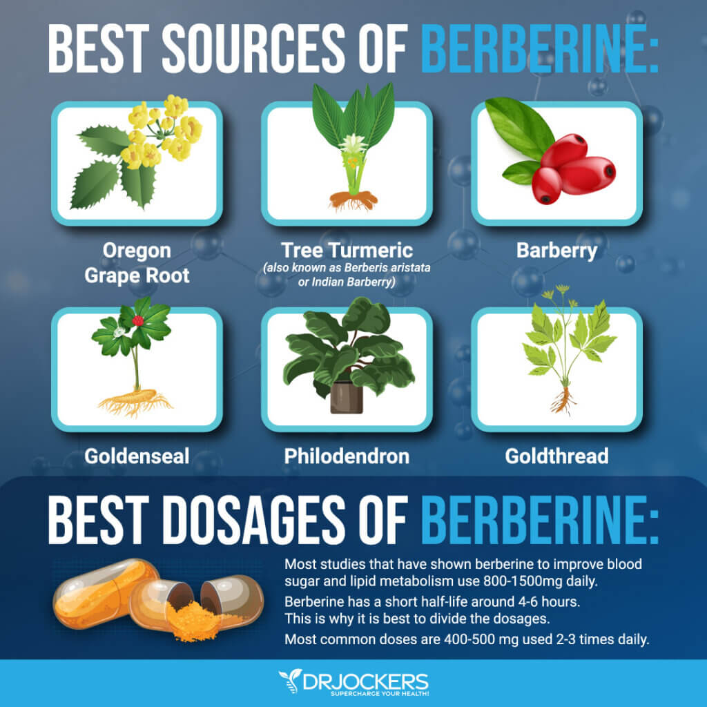 Berberine: Powerful Benefits for Blood Sugar and Fat Burning