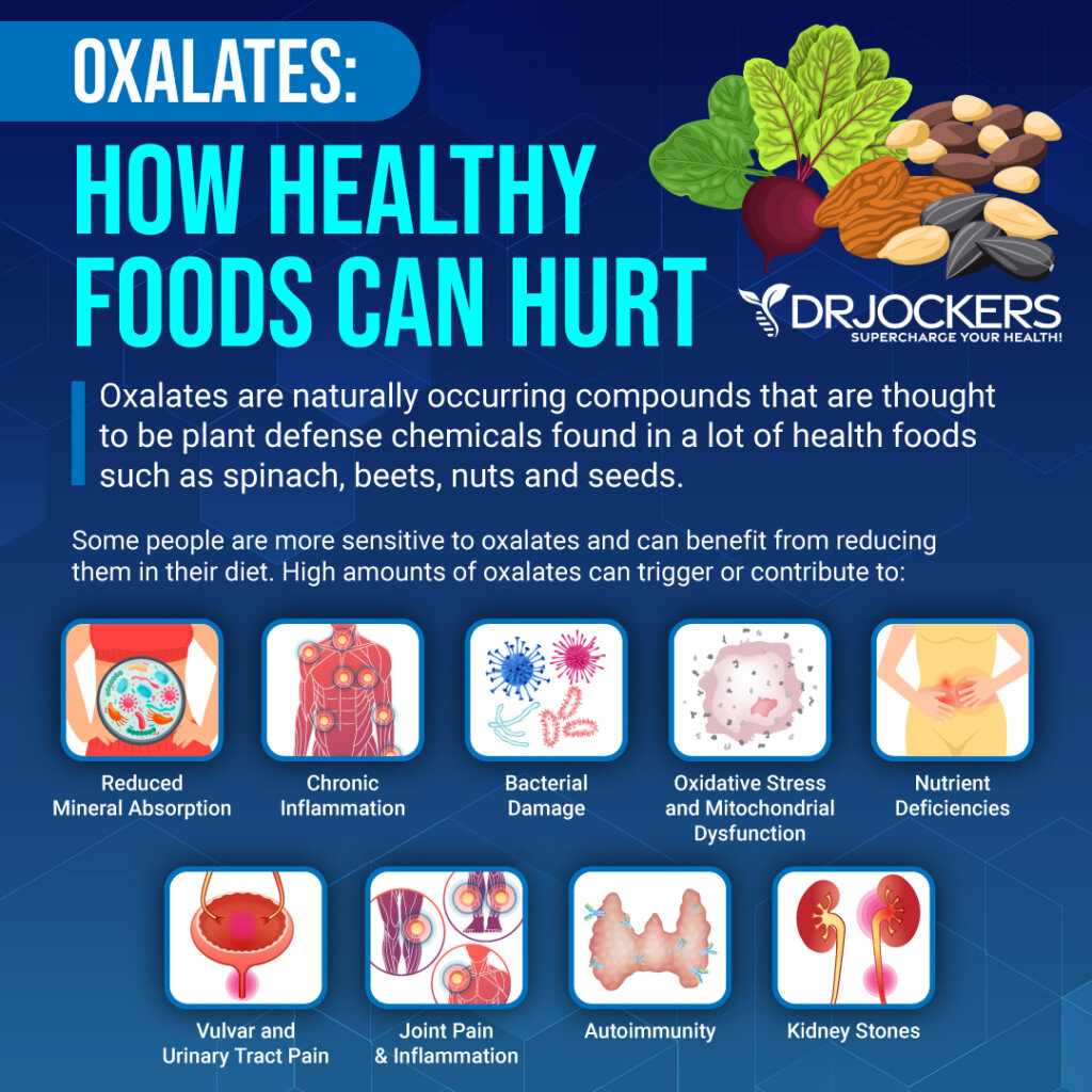 Low Oxalate Diet: Overview, Best Foods, and How to Do It - DrJockers.com