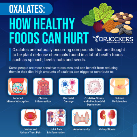 Low Oxalate Diet: Overview, Best Foods, and How to Do It - DrJockers.com