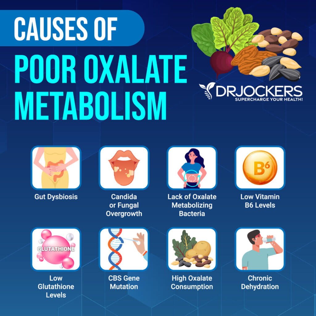 Low Oxalate Diet: Overview, Best Foods, and How to Do It - DrJockers.com