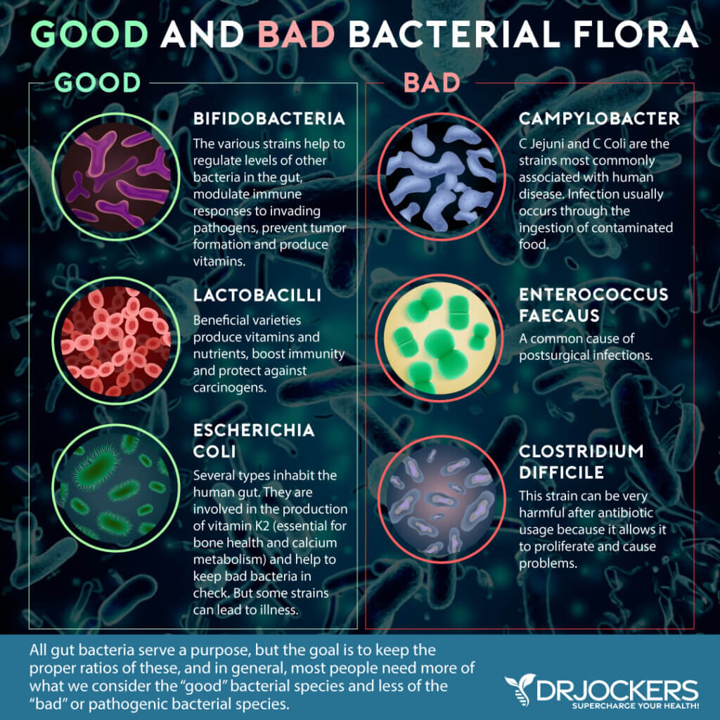 Dysbiosis: What is It and How to Heal Your Microbiome - DrJockers.com