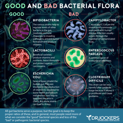 Dysbiosis: What is It and How to Heal Your Microbiome - DrJockers.com
