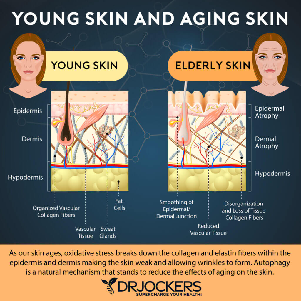 Skin Autophagy: 10 Strategies to Rejuvenate Your Skin - DrJockers.com