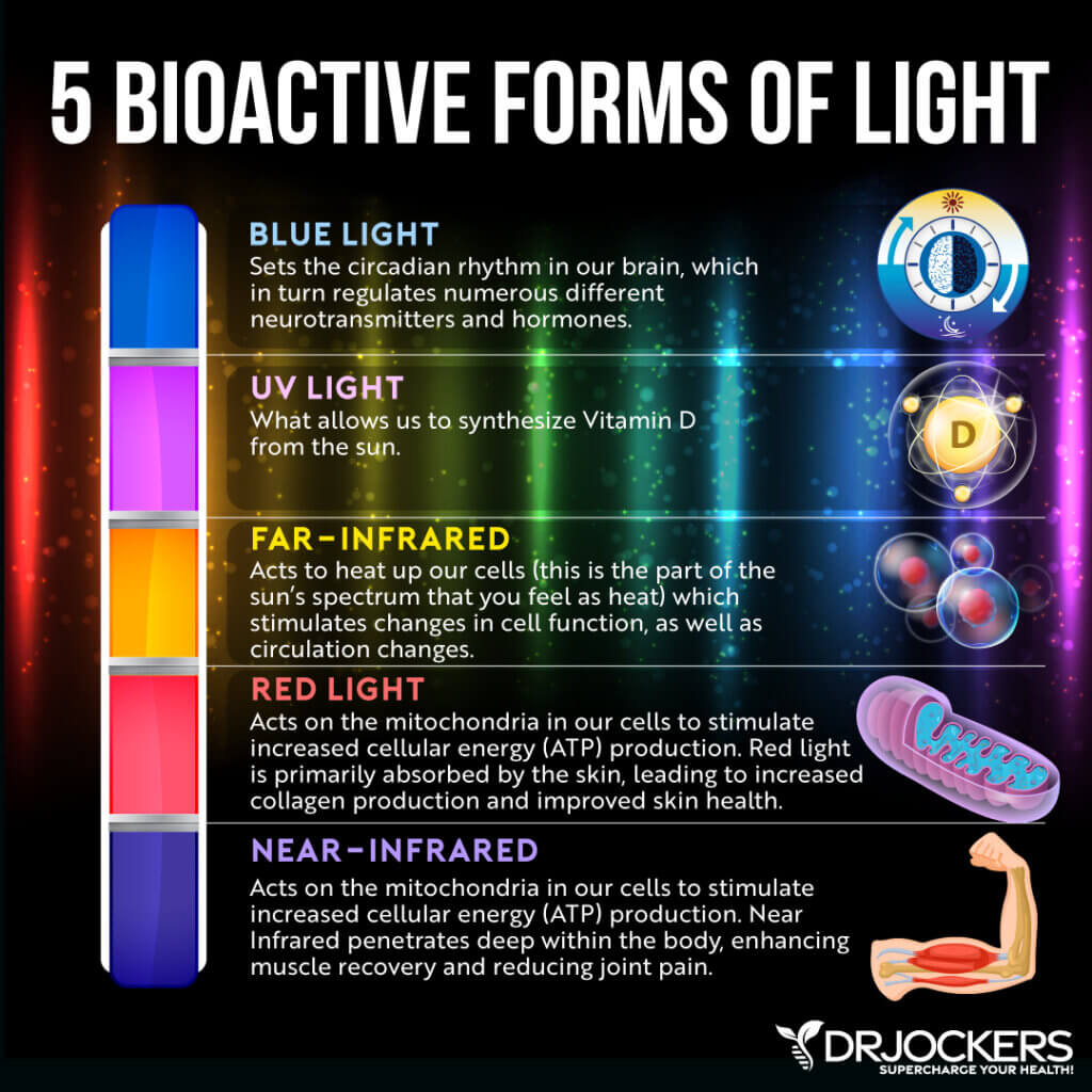 Red Light Therapy: Improve Skin, Energy & Sleep - DrJockers.com