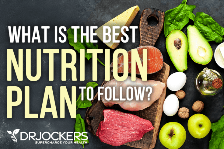 What is the Best Nutrition Plan to Follow? - DrJockers.com