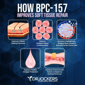 The Benefits of BPC-157 Peptides and How to Use Them - DrJockers.com