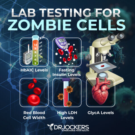 The Truth About Zombie Cells and How to Get Rid of Them - DrJockers.com