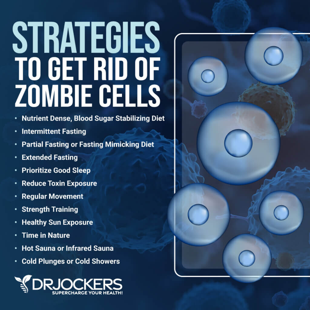 The Truth About Zombie Cells and How to Get Rid of Them - DrJockers.com