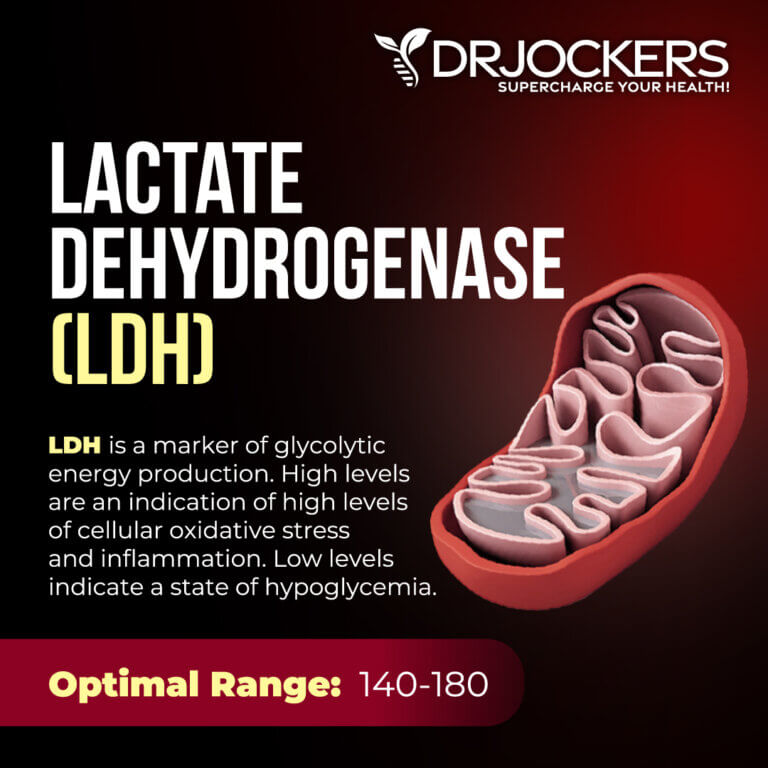 Top 12 Inflammatory Lab Markers and Optimal Ranges
