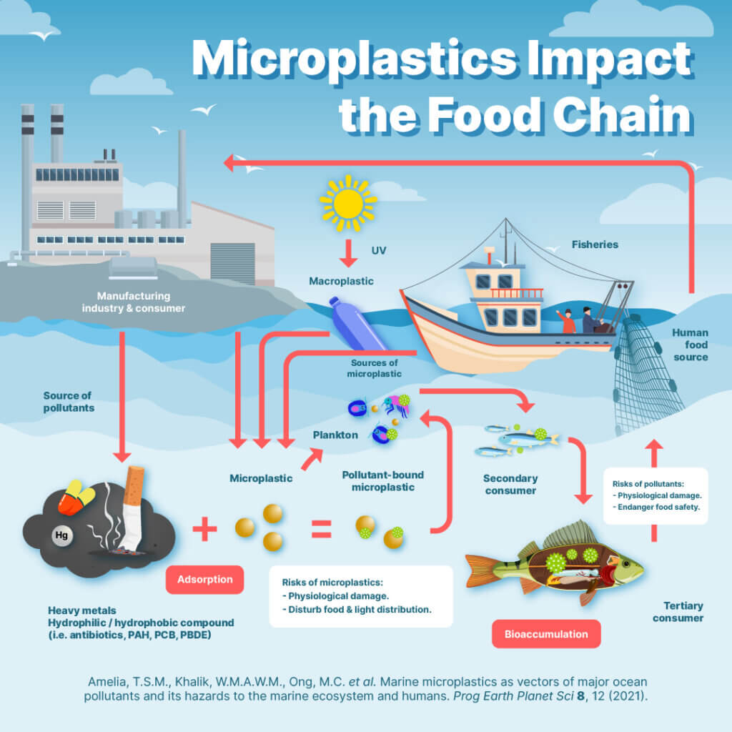 Are Microplastics Destroying Your Health? - DrJockers.com