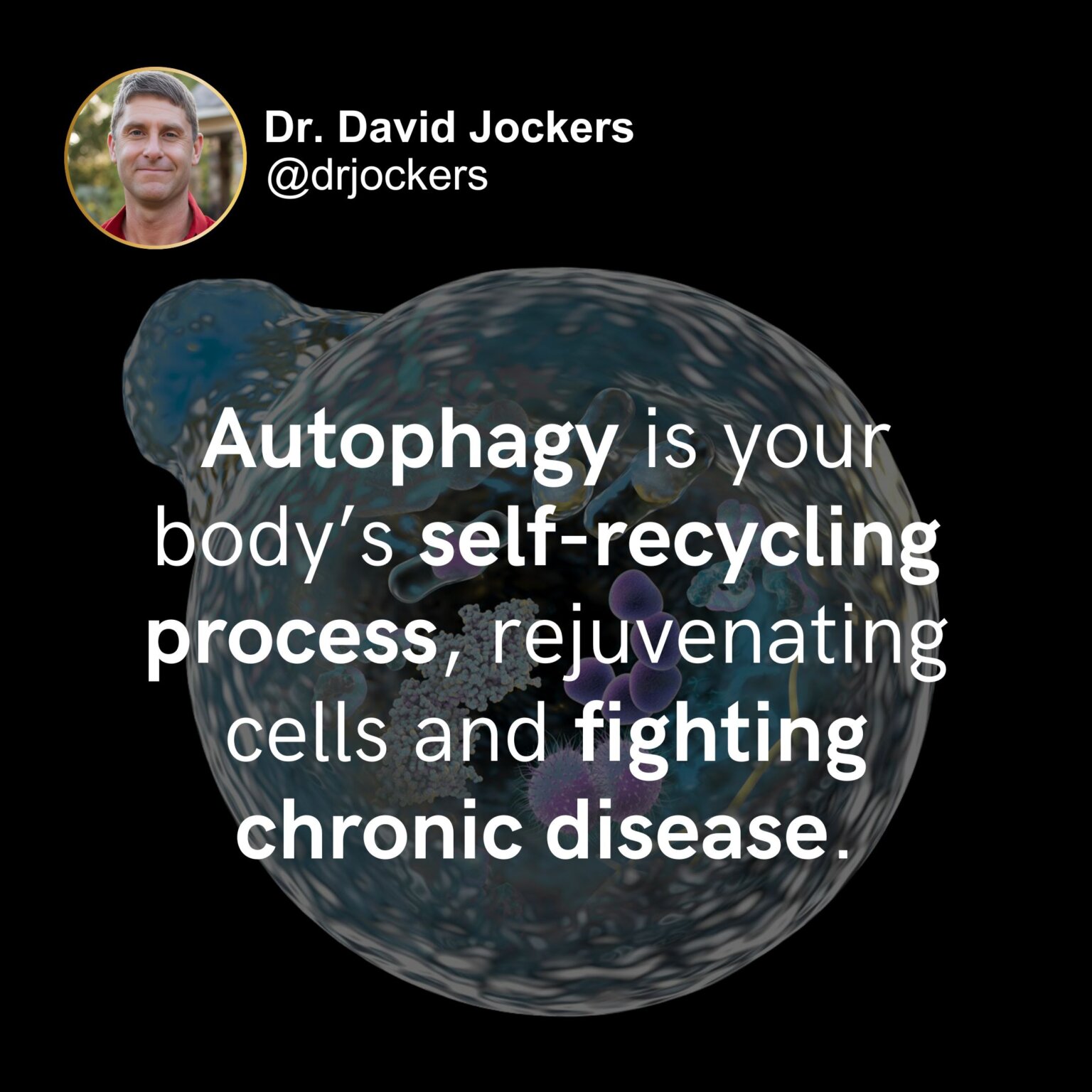 Episode #561 - Best Fasting Strategies for Autophagy and Deep Cellular ...