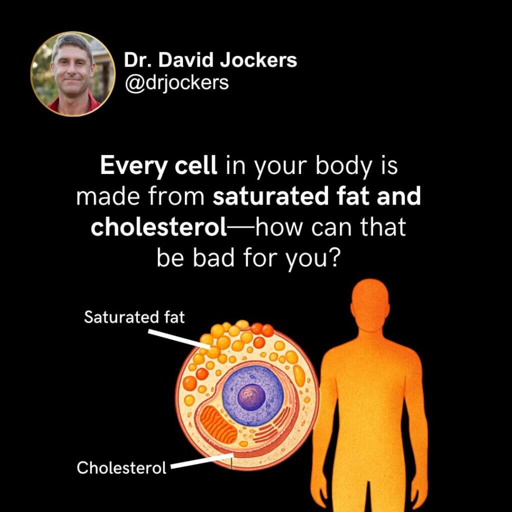 Episode #582: 5 Health Myths Your Doctor Lied to You About - DrJockers.com