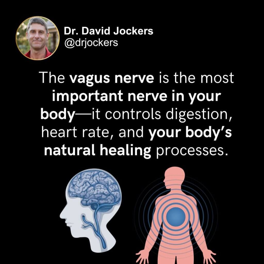 Episode #588: How to Improve Your Vagal Tone for Digestion & Healing ...