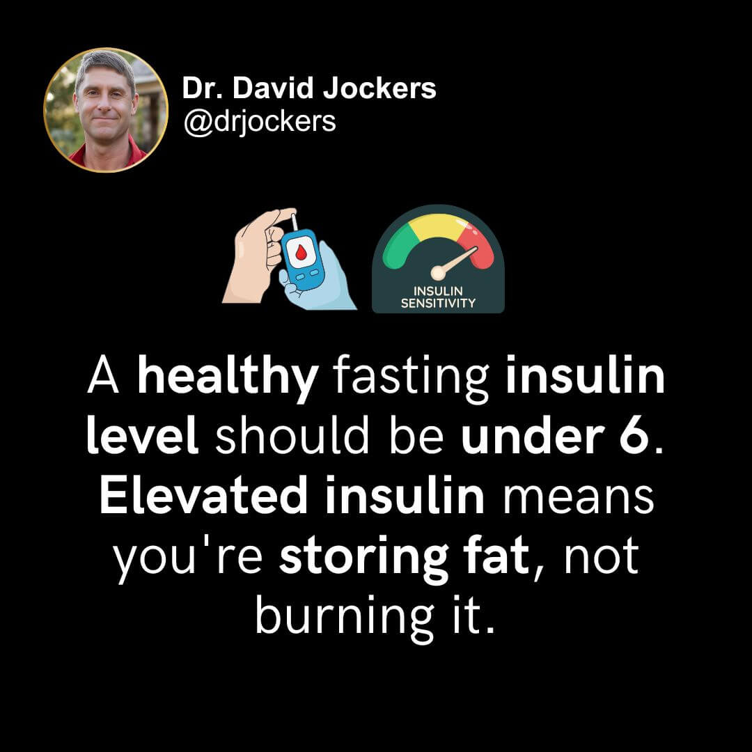 Episode #663: Top 5 Lab Tests For Heart, Brain, Fat Burning and ...